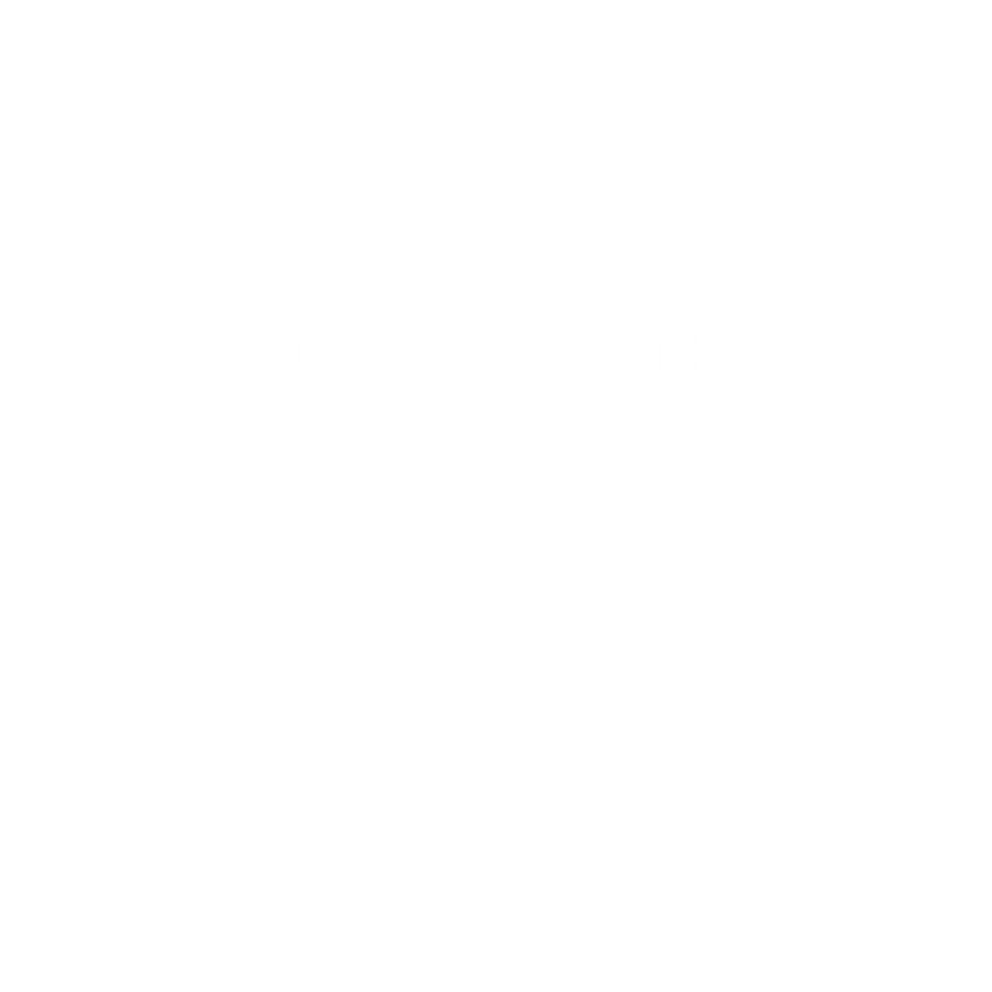 Calista Tools: Transformative Hair Tools & Styling Products