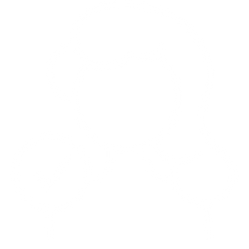 Calista Tools: Transformative Hair Tools & Styling Products