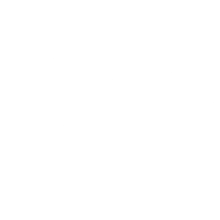 Calista Tools: Transformative Hair Tools & Styling Products