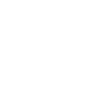 Calista Tools: Transformative Hair Tools & Styling Products