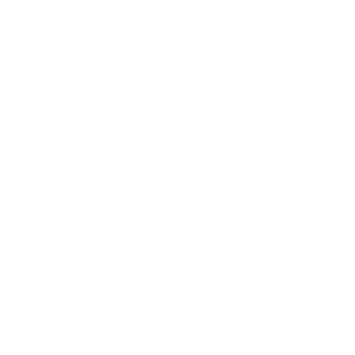 Calista Tools: Transformative Hair Tools & Styling Products